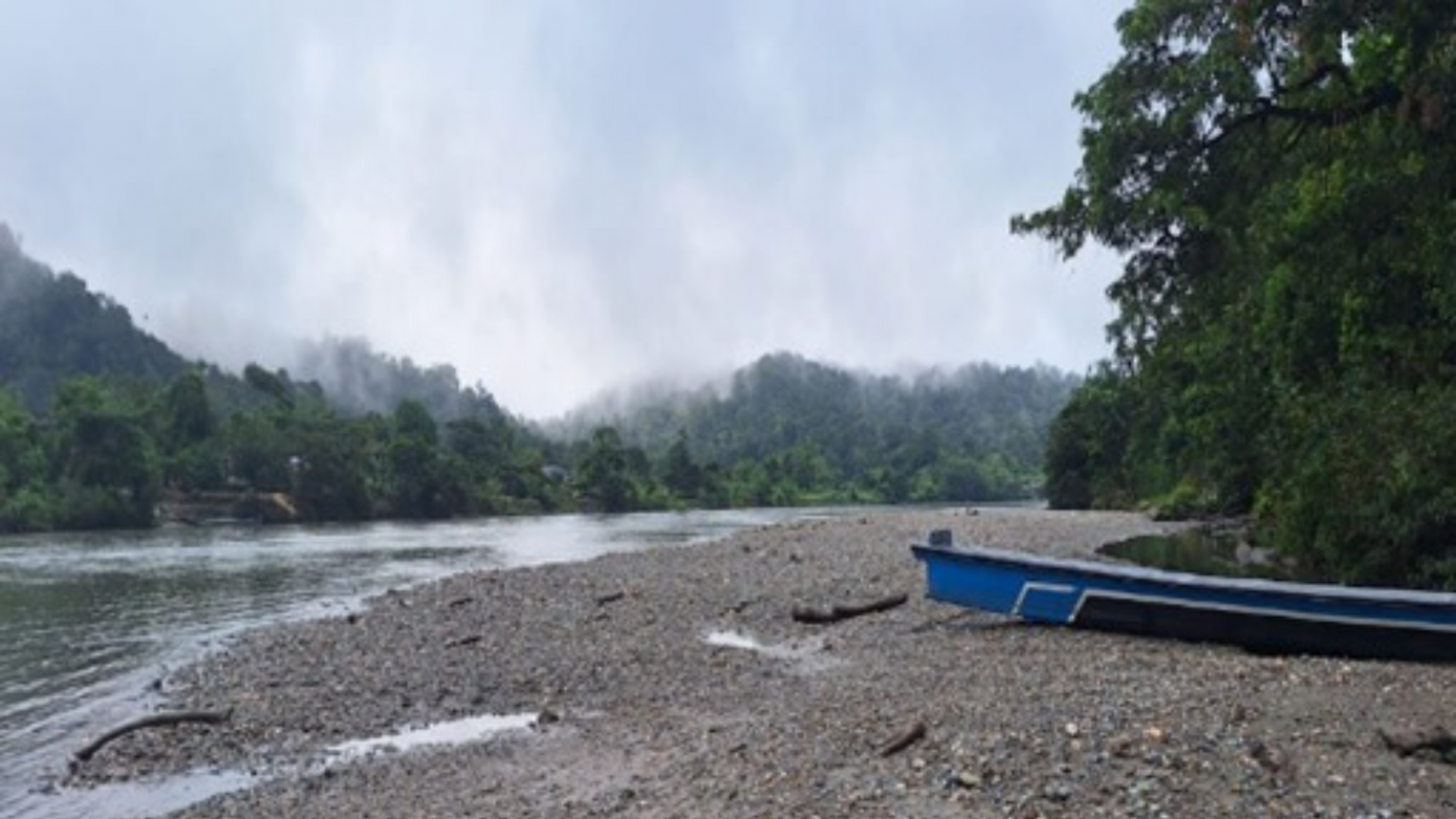 Capacity building and connection of Community Councils in the ...