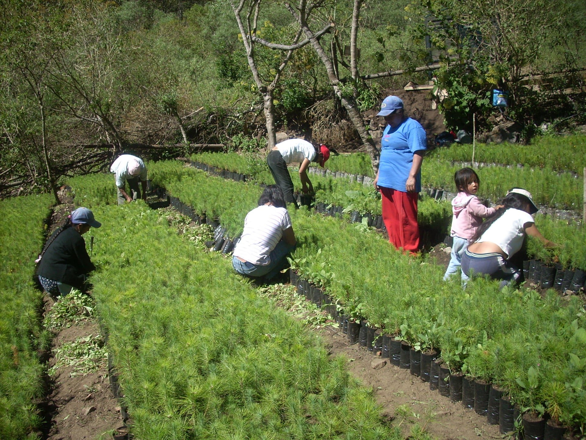 Ordenamiento Comunitario del Territorio para Recuperar Ecosistemas ...